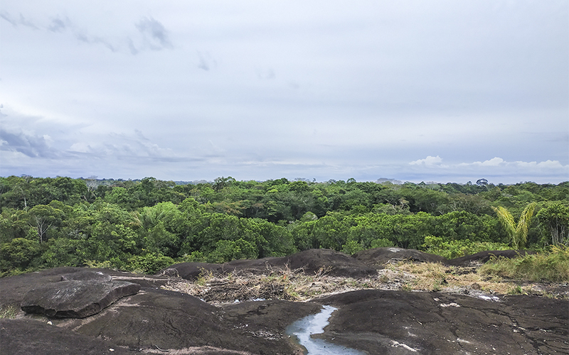 Nature Colombia | customizations